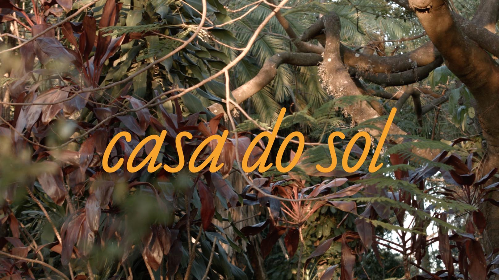 Lúcia Prancha / CASA DO SOL (2020-2022)